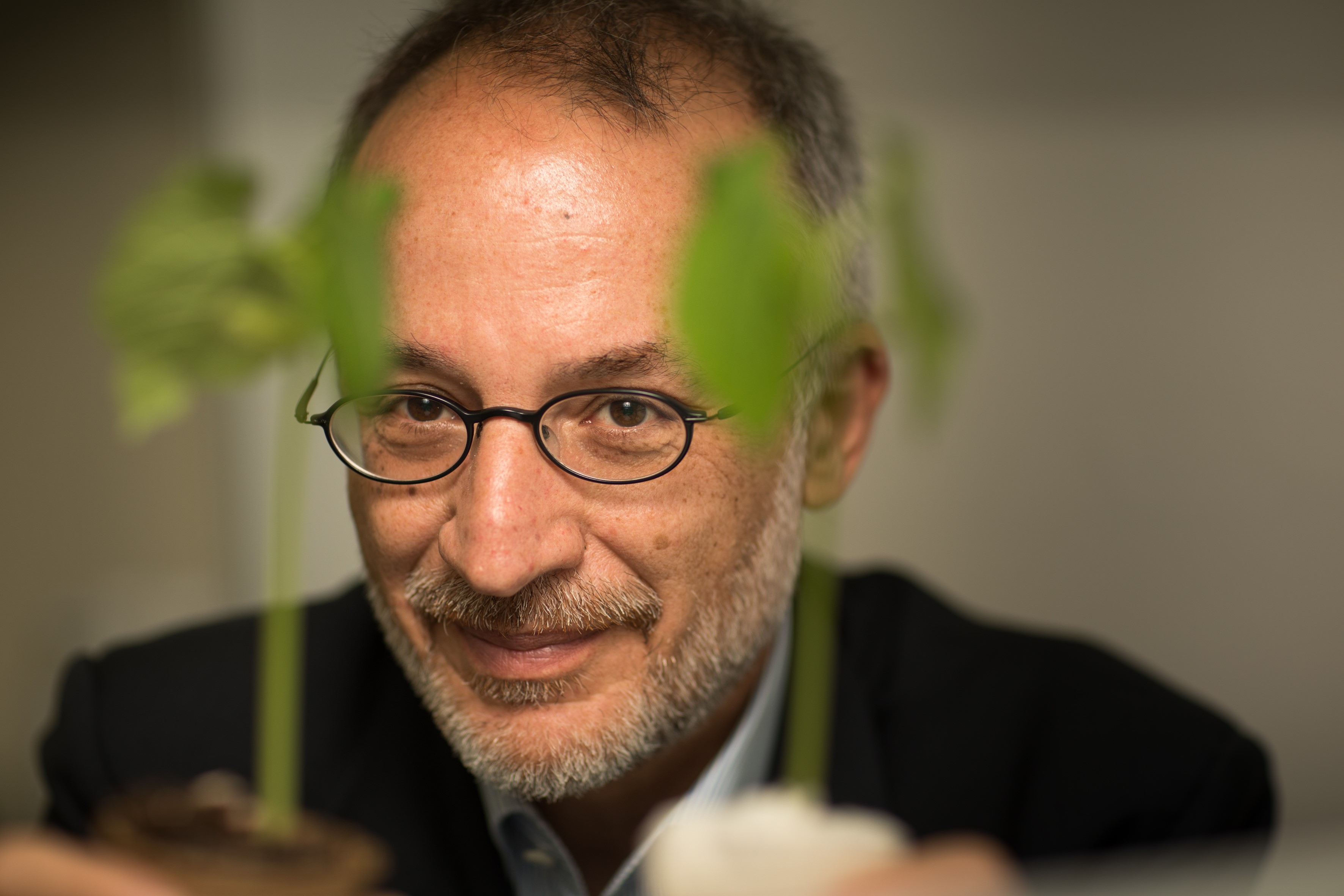 “Phytopolis e il pianeta delle piante” con Stefano Mancuso e i suoi ...